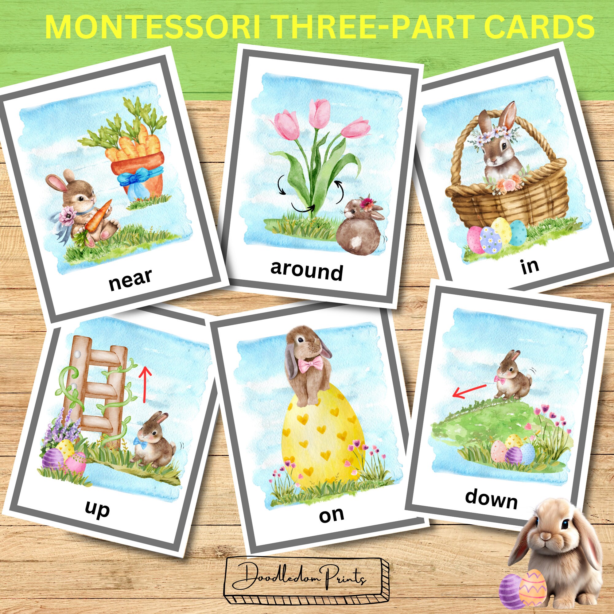 EASTER Preposition Picture Cards, Montessori Language & Grammar Three ...