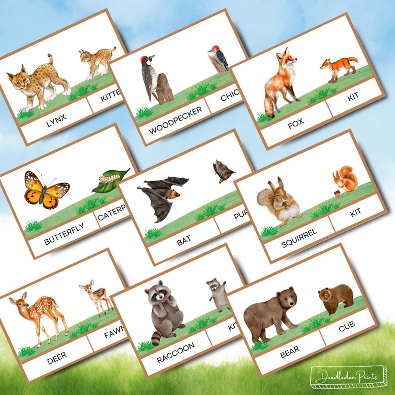 Mother and Baby Woodland Animal Flash Cards, Fall Theme Toddler ...