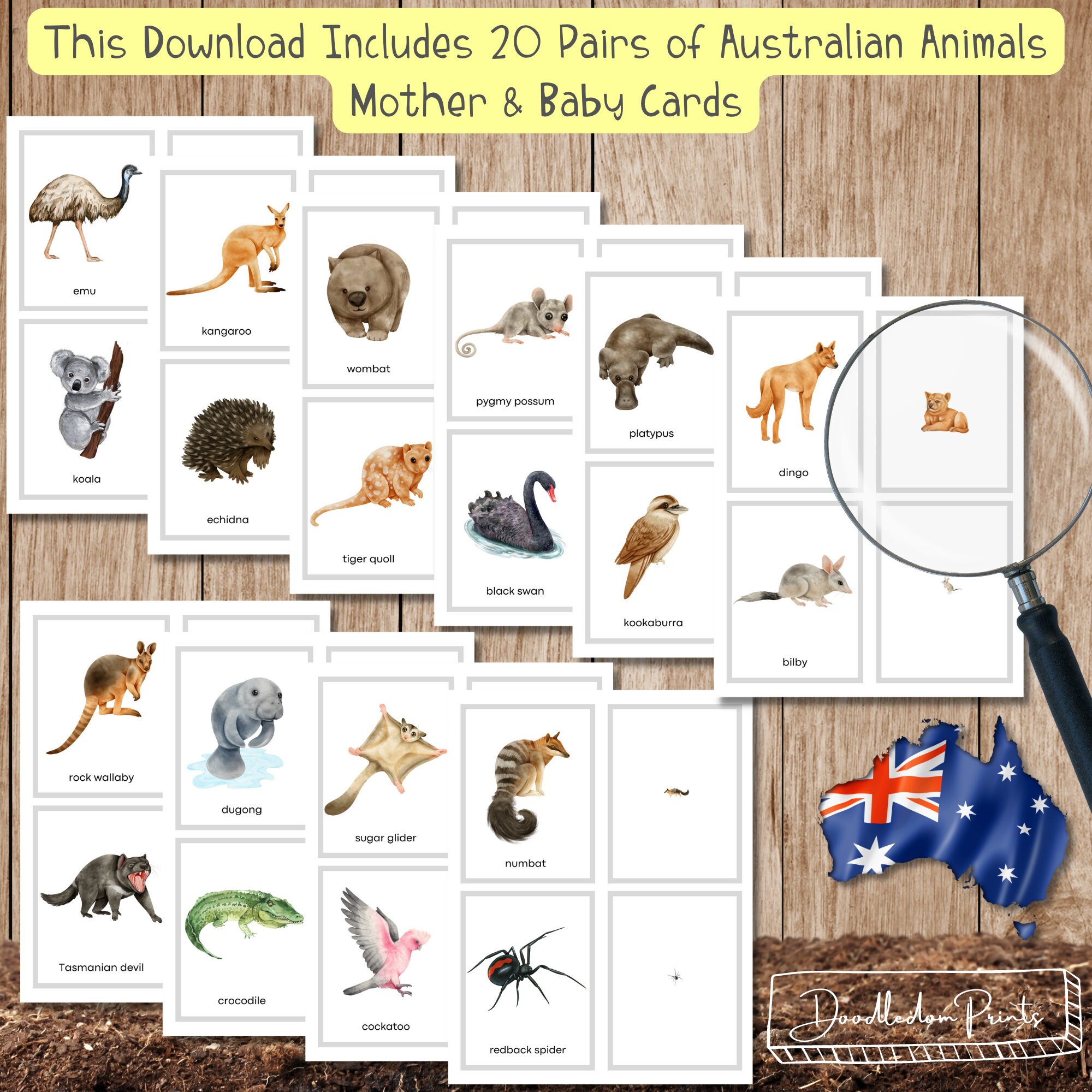 Australian Animals Magnifying Match Kids Activity, Australia Theme ...