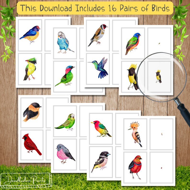 Birds Magnifying Match Kids Activity, Bird Theme Montessori Printable ...