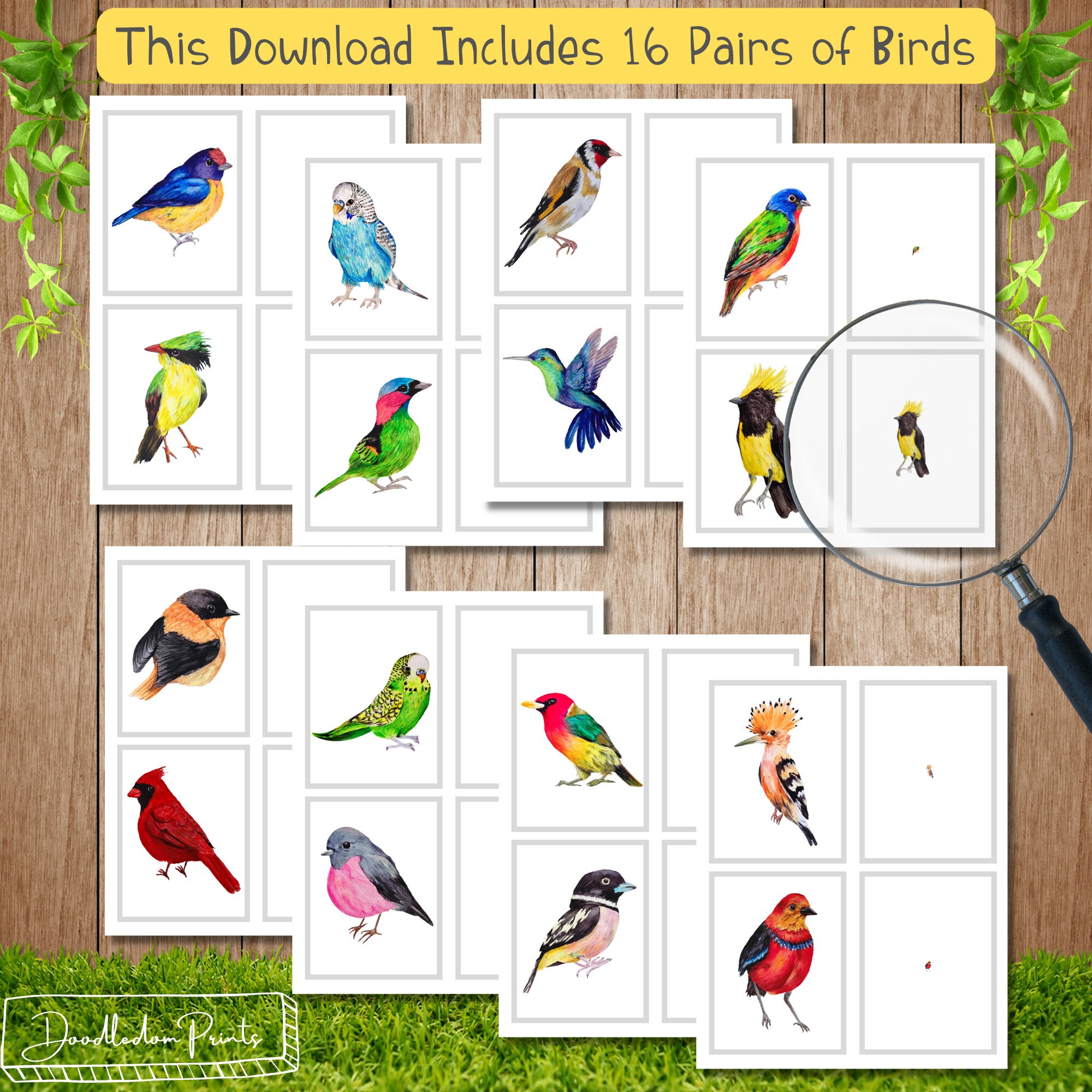 Birds Magnifying Match Kids Activity, Bird Theme Montessori Printable ...