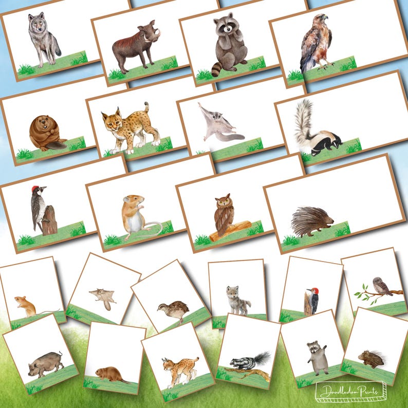 Mother and Baby Woodland Animal Flash Cards, Fall Theme Toddler ...