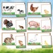 Farm Animal Mother and Baby Matching Spring Flashcards Montessori ...