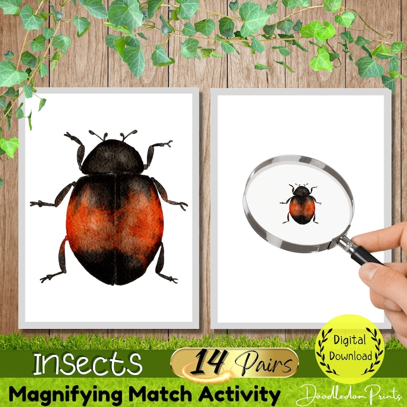 Insects Matching Activity Cards, Mini Beasts Montessori Printable ...