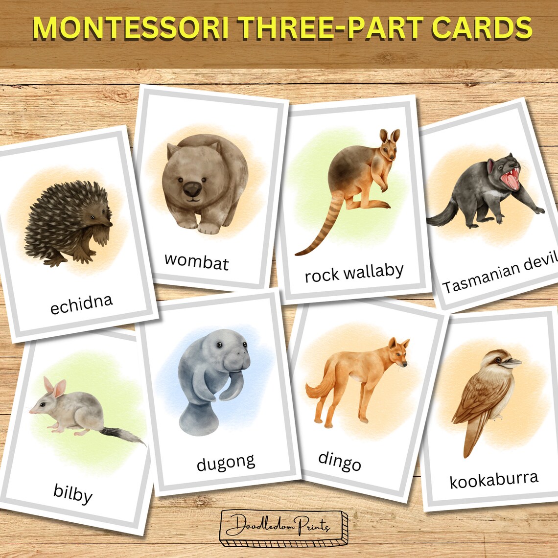 Australian Animals 3 Part Cards Toddler Preschool Activity, Australia ...