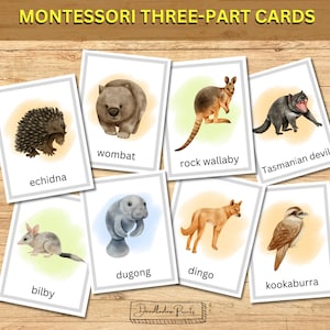 Australian Animals 3 Part Cards Toddler Preschool Activity, Australia ...