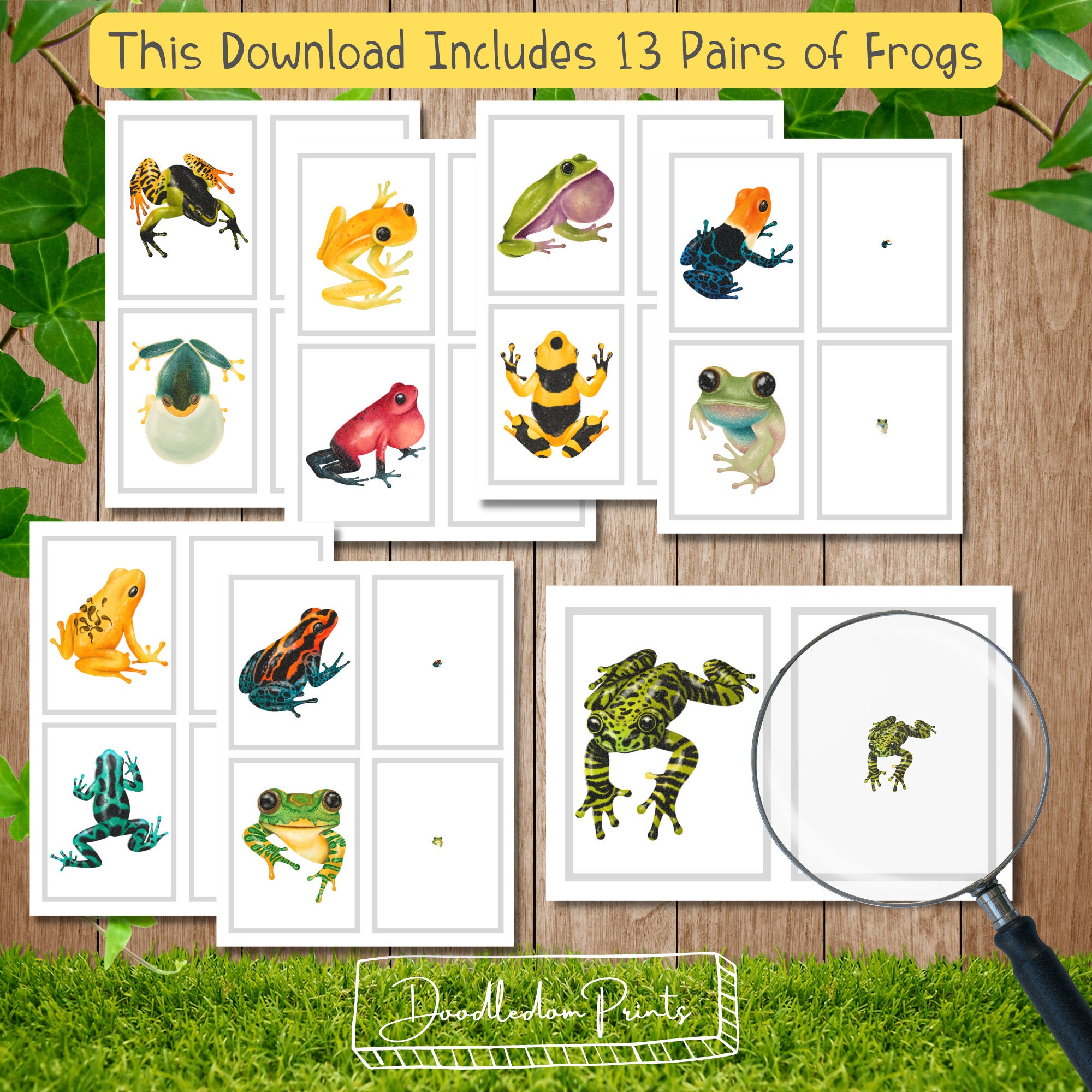 Frogs Magnifying Match Kids Activity, Frog Theme Montessori Printable ...