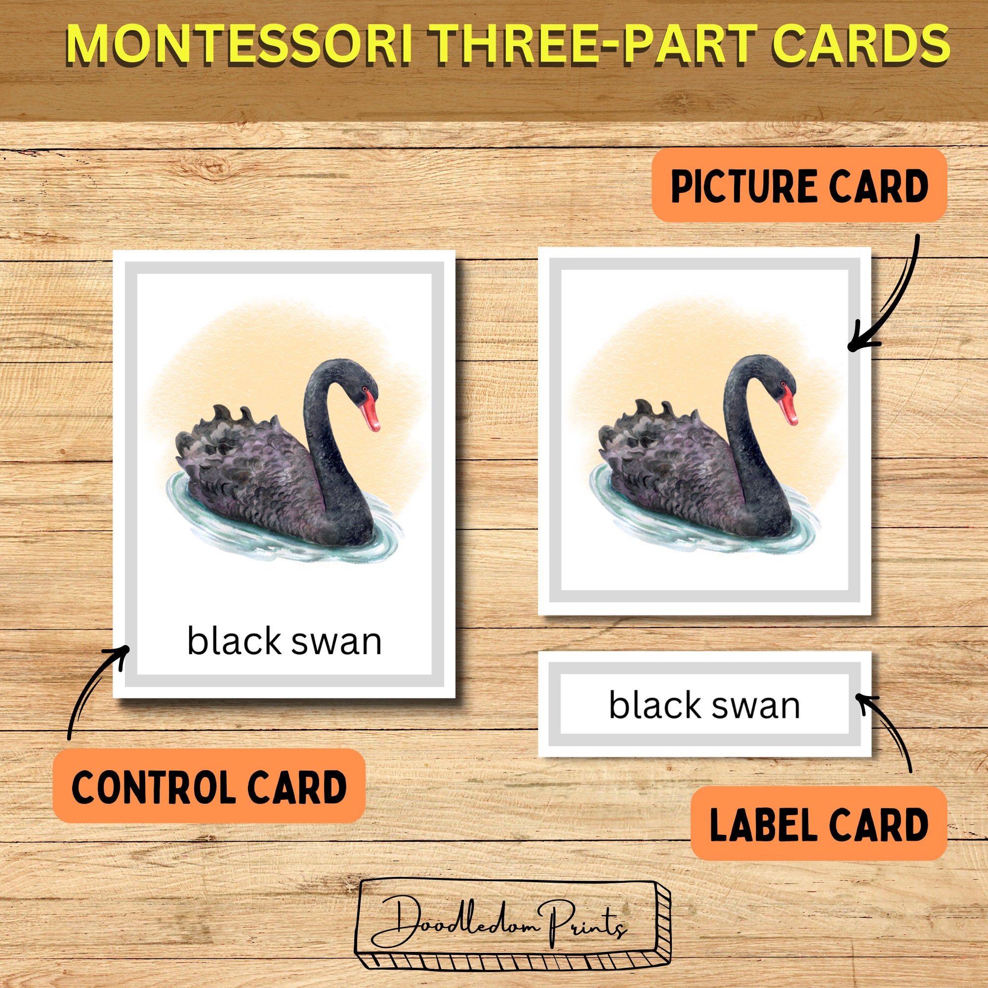 Australian Animals 3 Part Cards Toddler Preschool Activity, Australia ...