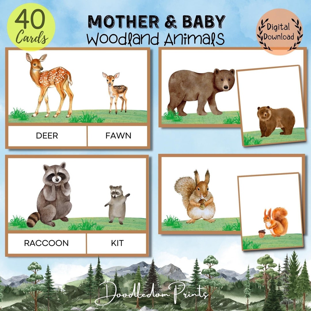 Mother and Baby Woodland Animal Flash Cards, Fall Theme Toddler ...