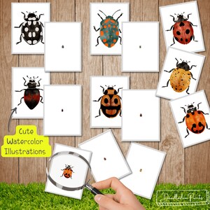 Insects Matching Activity Cards, Mini Beasts Montessori Printable ...