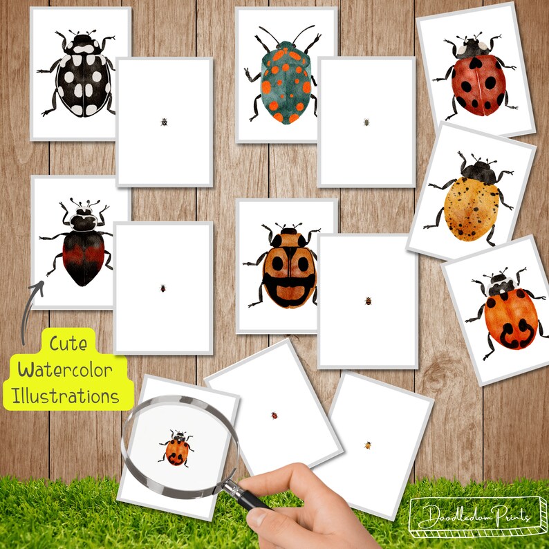 Insects Matching Activity Cards, Mini Beasts Montessori Printable ...