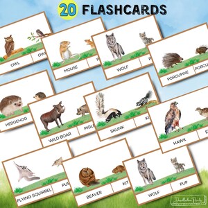 Mother and Baby Woodland Animal Flash Cards, Fall Theme Toddler ...