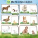 Farm Animal Mother and Baby Matching Cards, Farm Flashcards, Farm ...