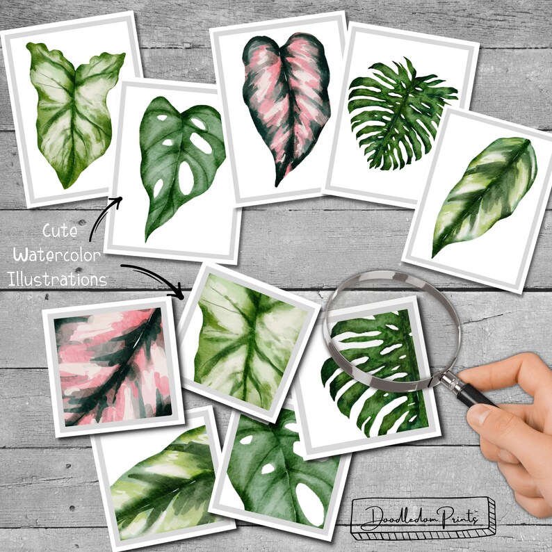Leaf Matching Activity, Toddler Preschool Leaf Pattern Game, Tropical ...