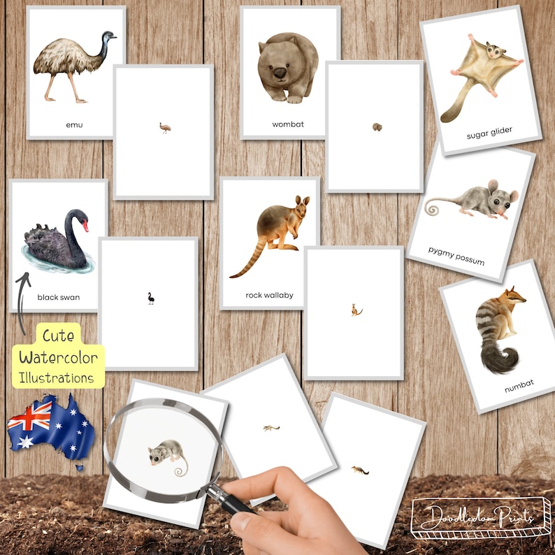 Australian Animals Magnifying Match Kids Activity, Australia Theme ...