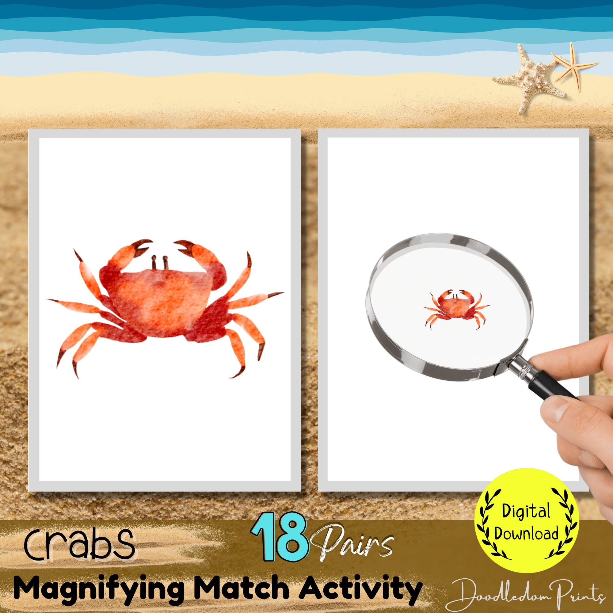 Ocean Animals Magnifying Match Activity Montessori Printable - Etsy