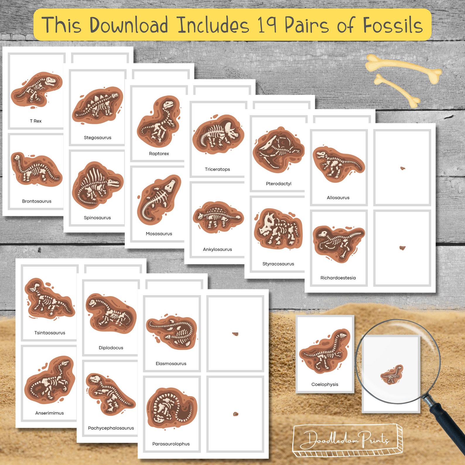Dinosaur Fossils Kid Activity, Printable Dinosaur Matching Puzzle Games ...
