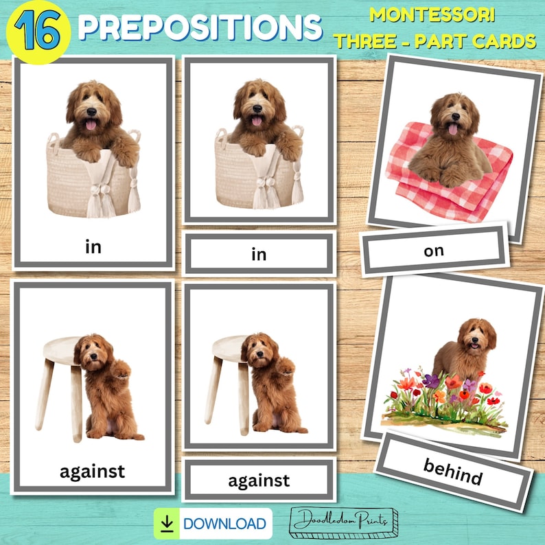 Preposition Flashcards Dog Unit Study Preschool Printable Activity ...