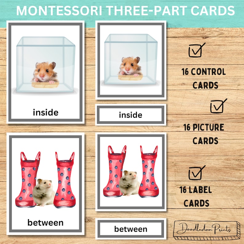 Preposition 3 Part Cards, Montessori Language Arts, Montessori ...