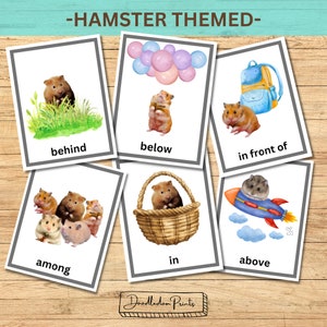 Preposition 3 Part Cards, Montessori Language Arts, Montessori ...