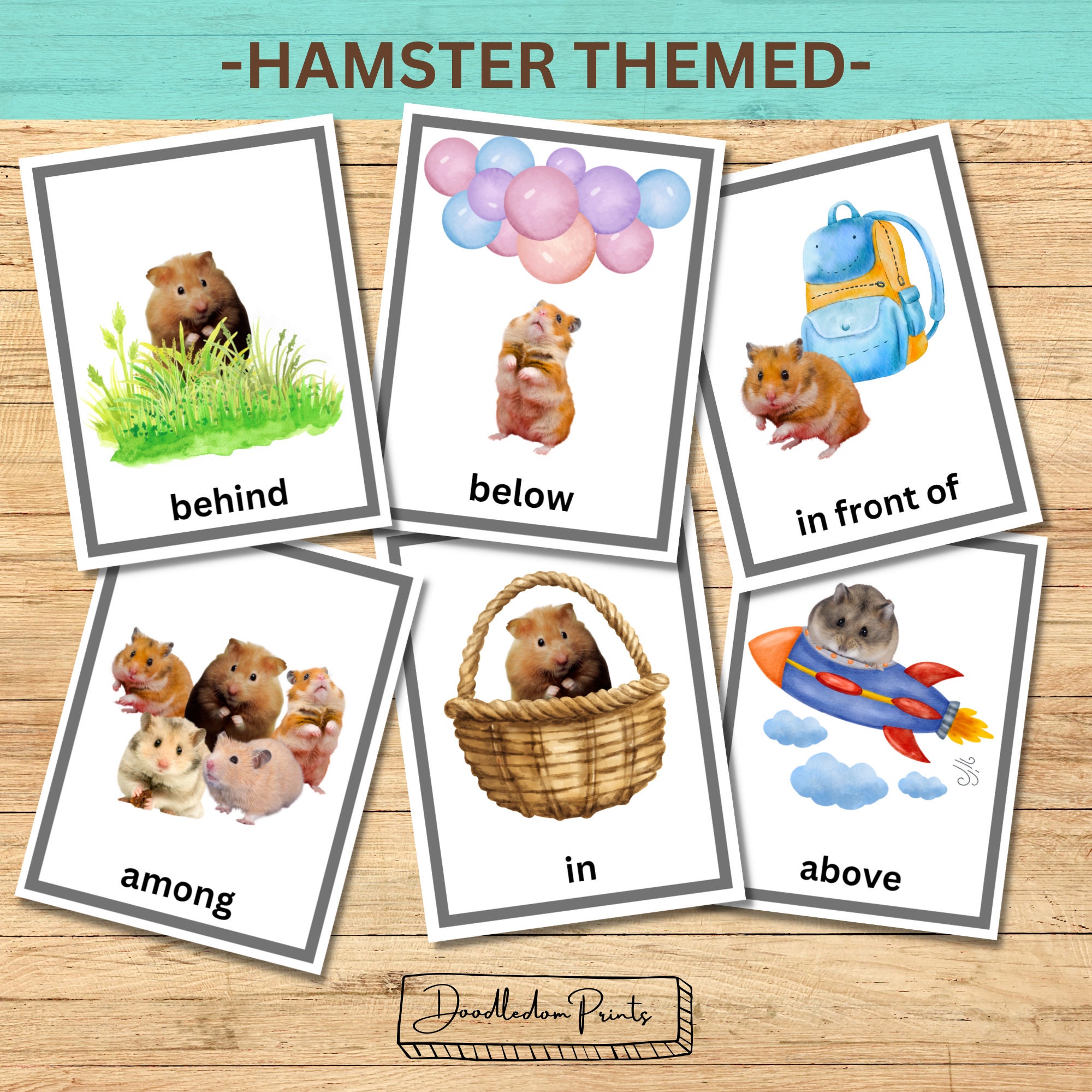 Preposition 3 Part Cards, Montessori Language Arts, Montessori ...