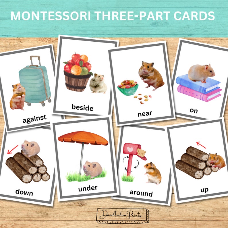 Preposition 3 Part Cards, Montessori Language Arts, Montessori ...