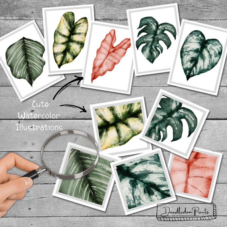 Leaf Matching Activity, Toddler Preschool Leaf Pattern Game, Tropical ...