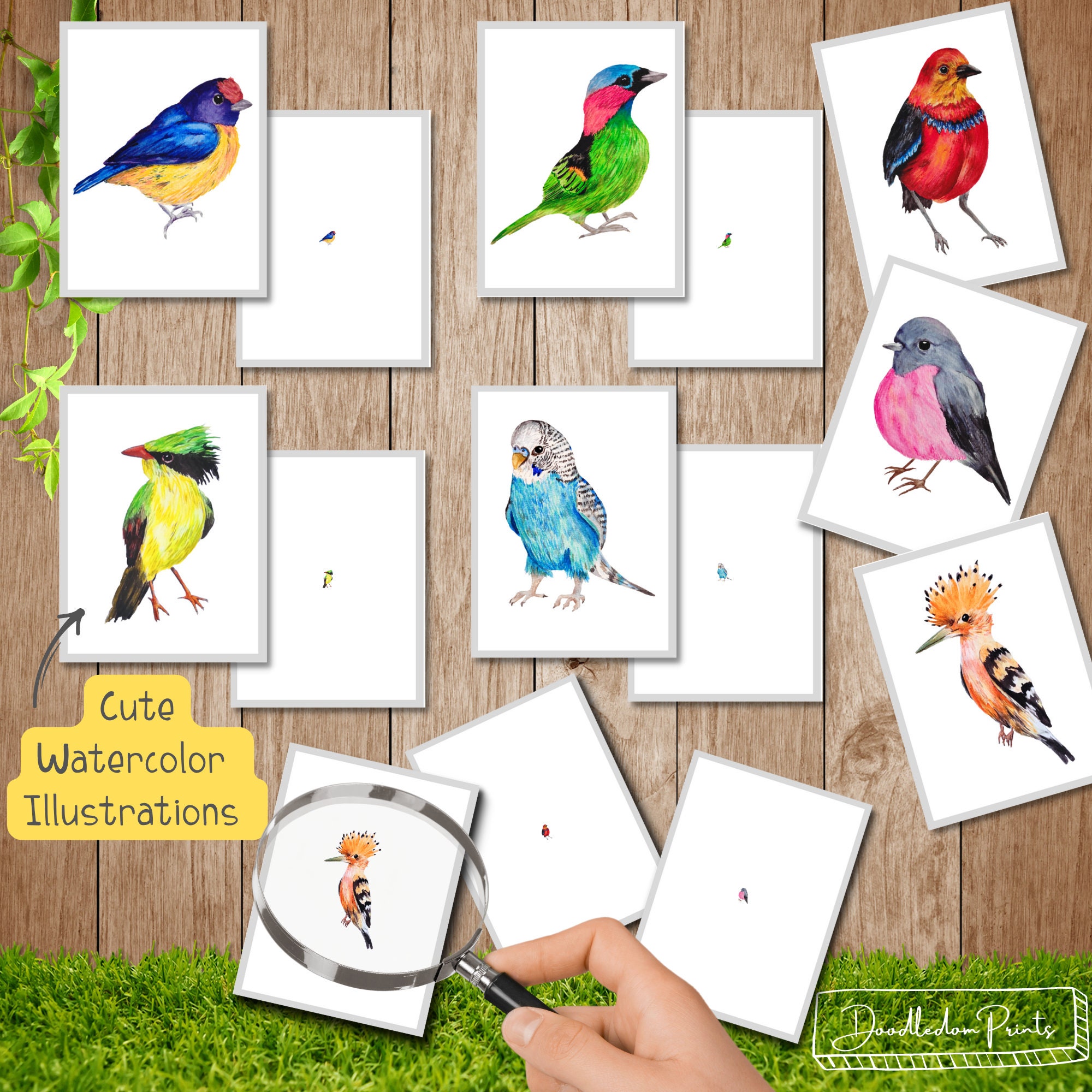 Birds Magnifying Match Kids Activity, Bird Theme Montessori Printable ...