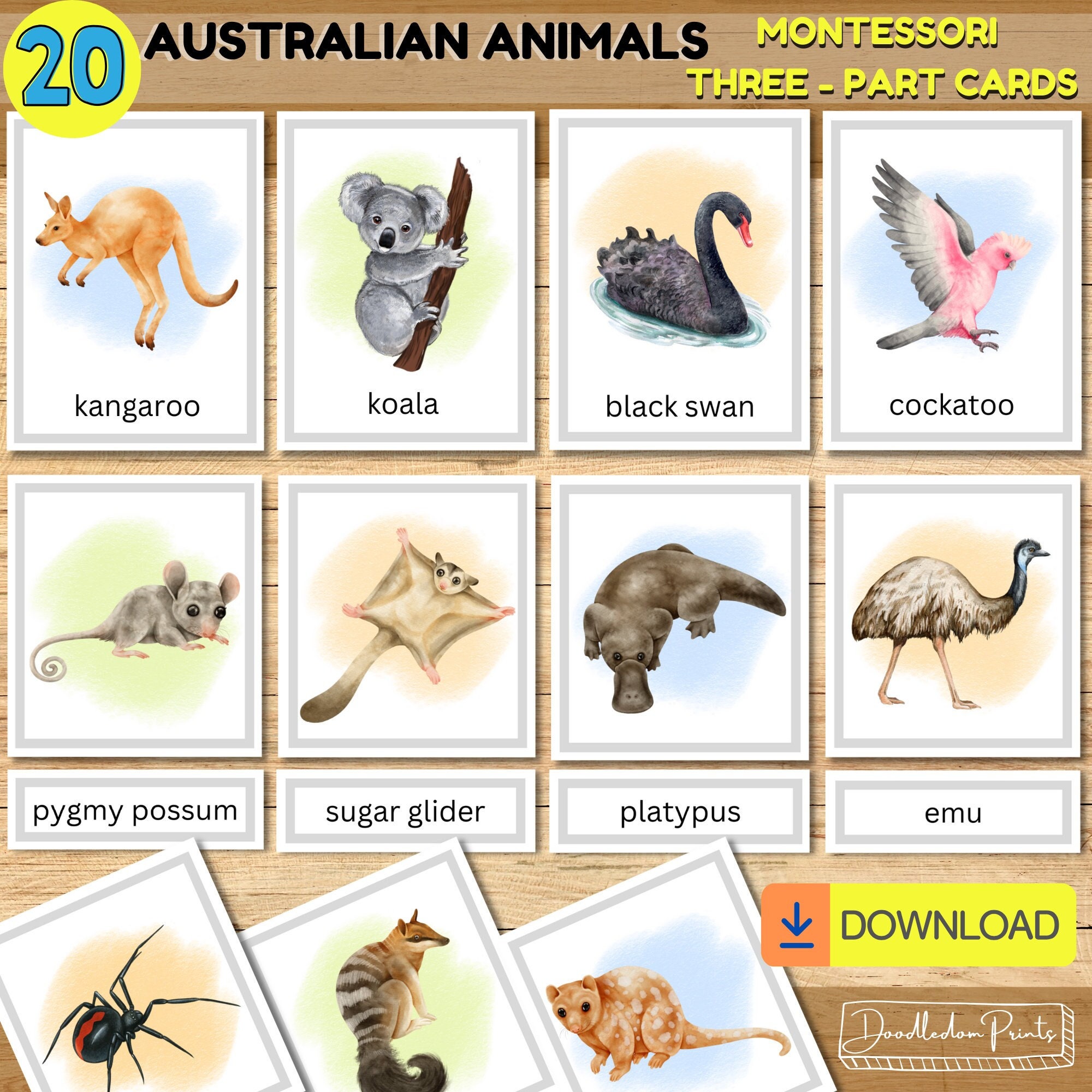Australian Animals 3 Part Cards Toddler Preschool Activity, Australia ...