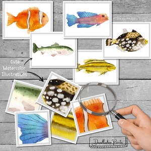 Fish Pattern Matching Activity, Printable Montessori Material, Toddler ...