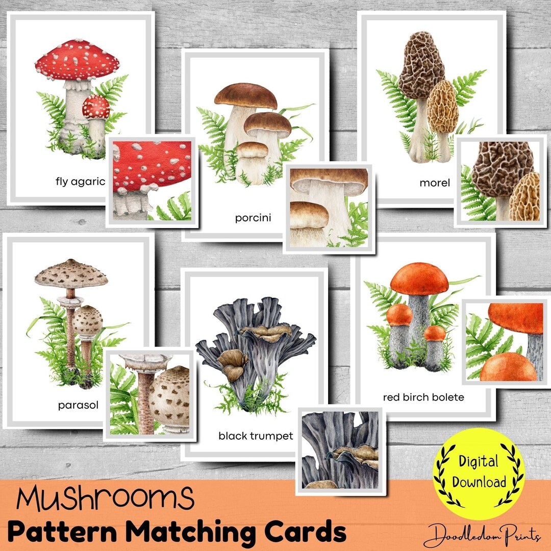 Mushroom Matching Activity, Mushroom Flashcards, Mushroom Unit Study ...