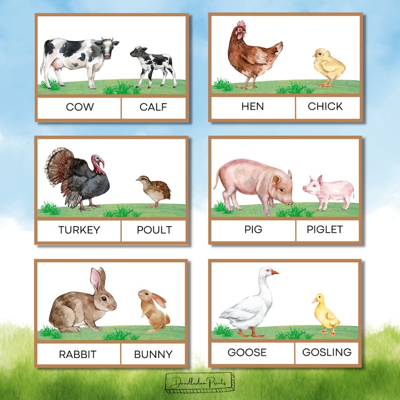 Farm Animal Mother and Baby Matching Cards, Farm Flashcards, Farm ...