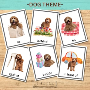 Preposition Flashcards Dog Unit Study Preschool Printable Activity ...