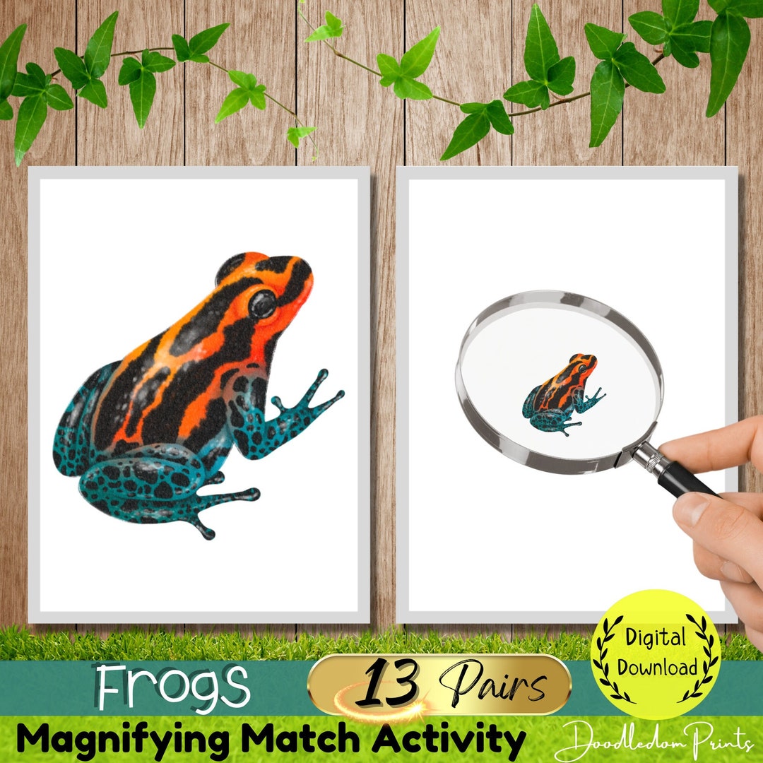 Frogs Magnifying Match Kids Activity, Frog Theme Montessori Printable ...