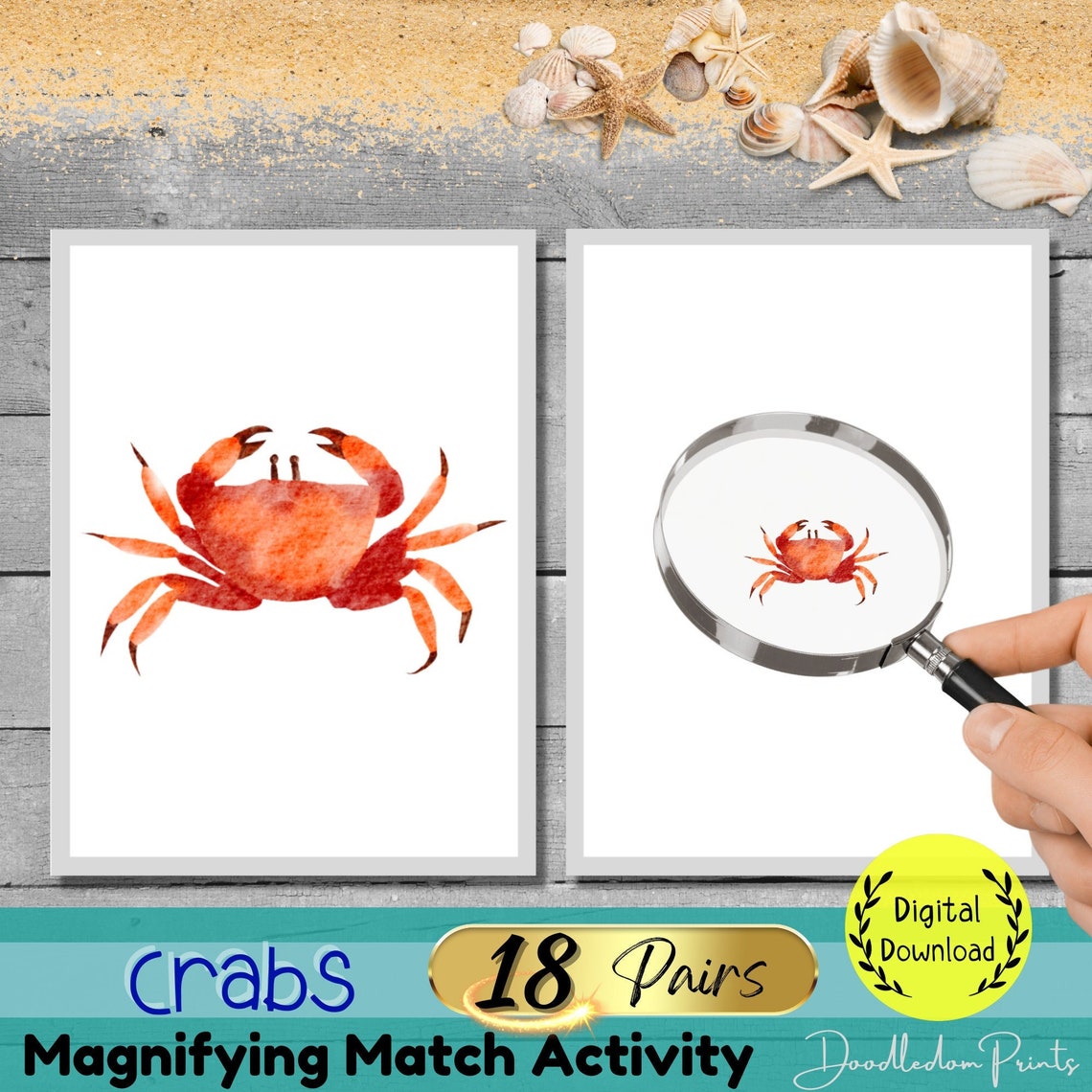 Crabs Matching Activity, Montessori Inspired Crustaceans Printable ...