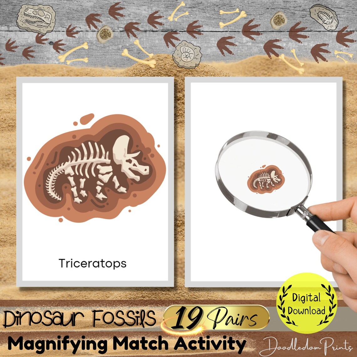 Dinosaur Fossils Magnifying Match Activity, Dinosaur Theme Montessori ...