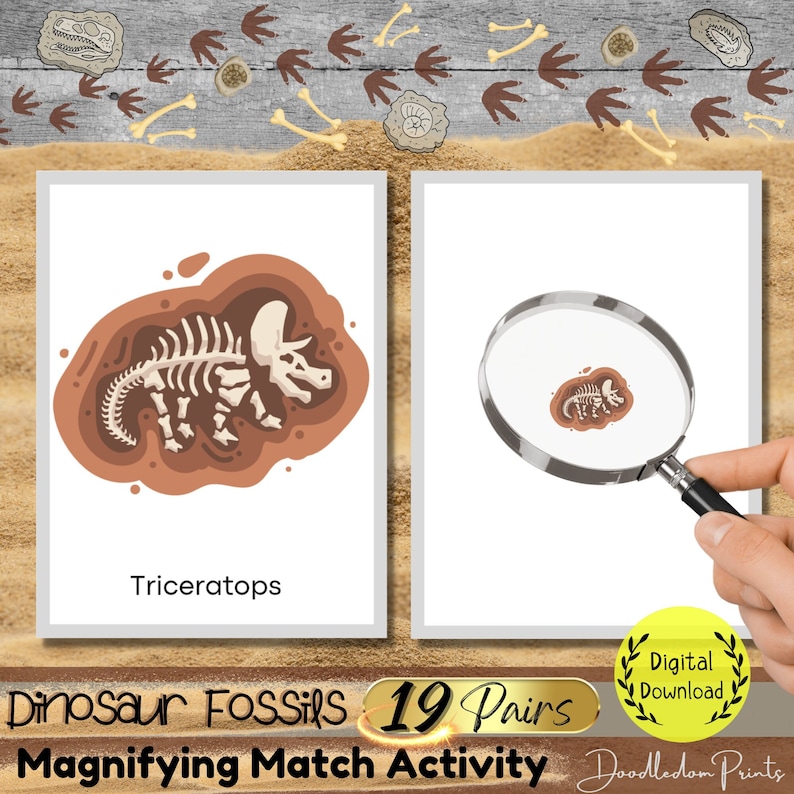 Dinosaur Fossils Magnifying Match Activity, Dinosaur Theme Montessori ...