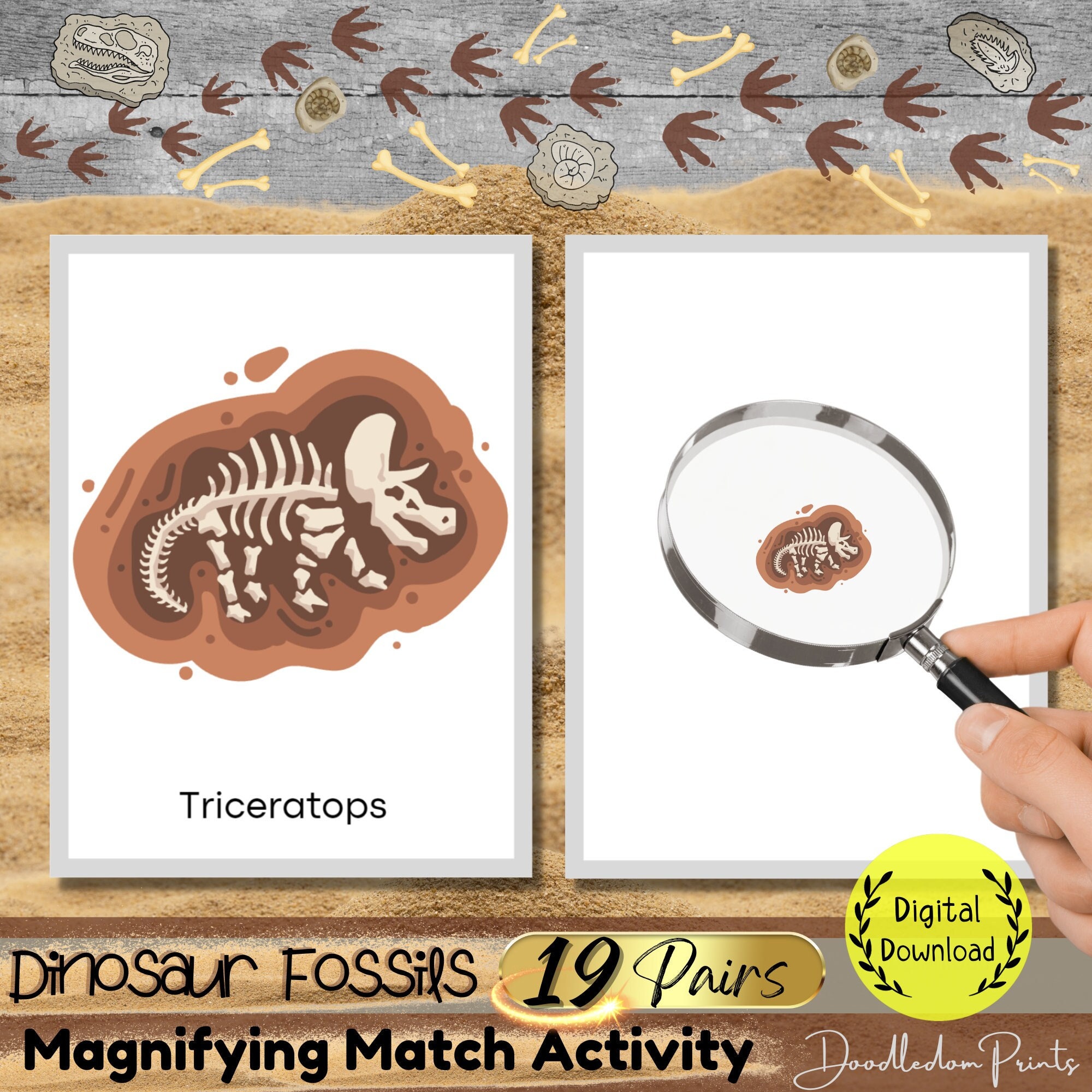 Dinosaur Fossils Magnifying Match Activity, Dinosaur Theme Montessori ...
