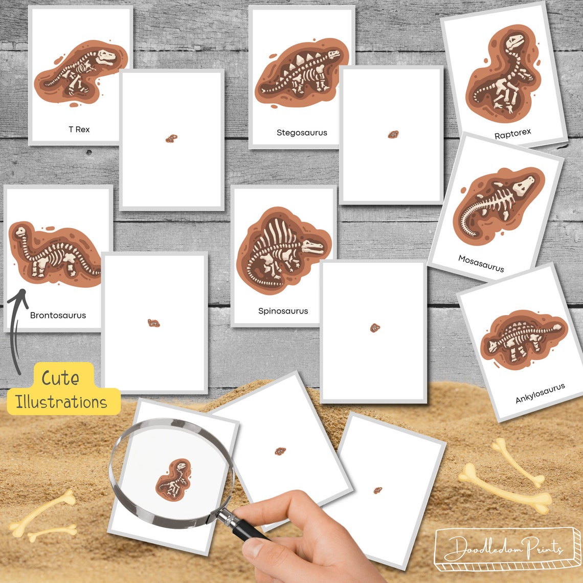 Dinosaur Fossils Magnifying Match Activity, Dinosaur Theme Montessori ...