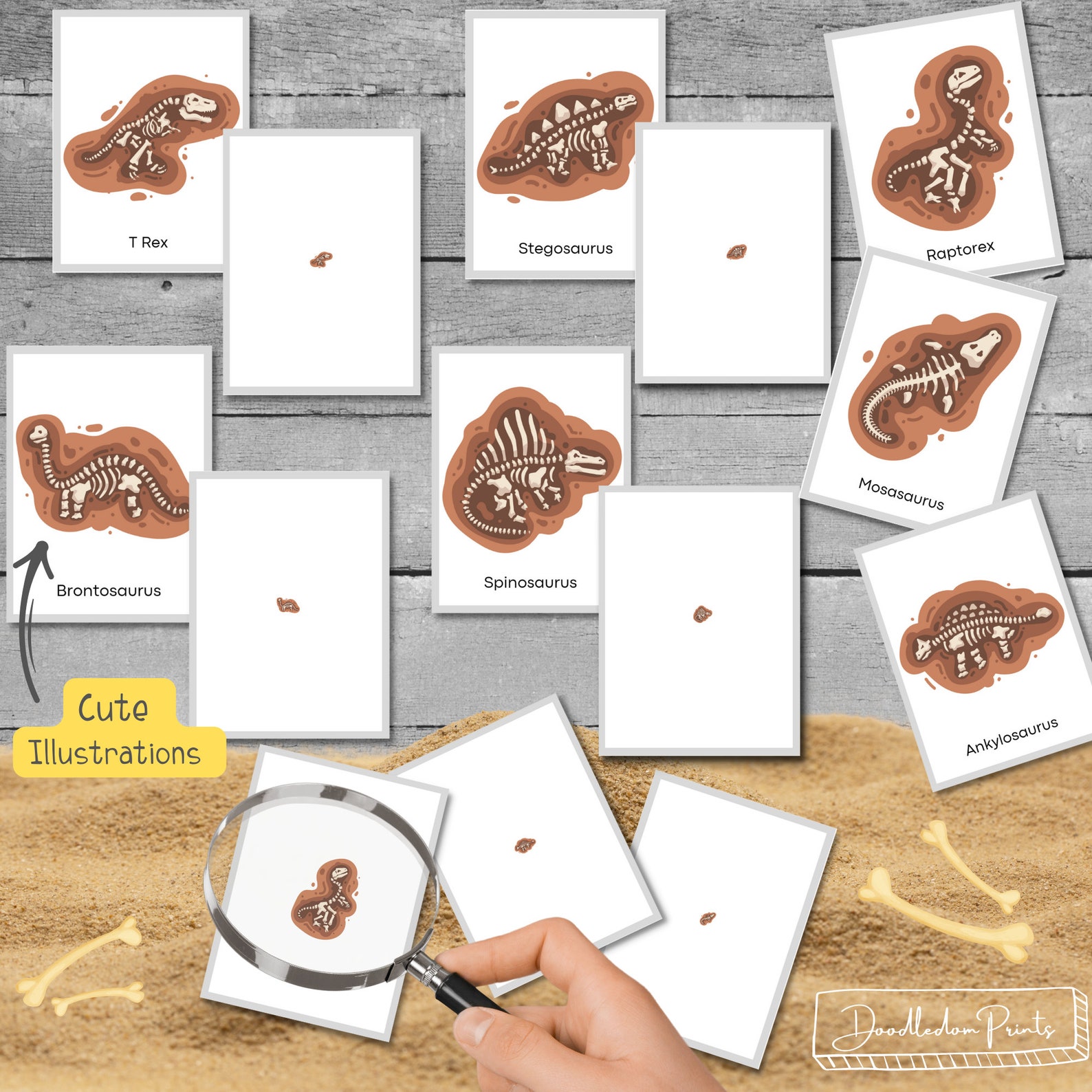 Dinosaur Fossils Magnifying Match Activity, Dinosaur Theme Montessori ...