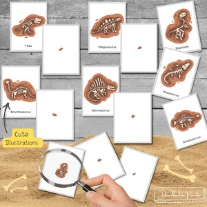 Dinosaur Fossils Magnifying Match Activity, Dinosaur Theme Montessori ...