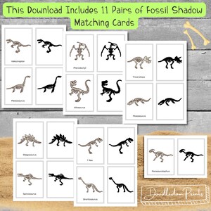 Dinosaur Fossils Shadow Matching Activity Printable Montessori Material ...