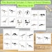 Dinosaur Fossils Shadow Matching Activity Printable Montessori Material ...