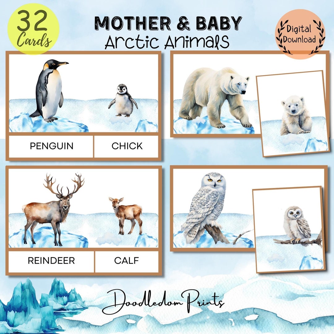 Arctic Animals Mother and Baby Matching Cards, Polar Animal Flash Cards ...