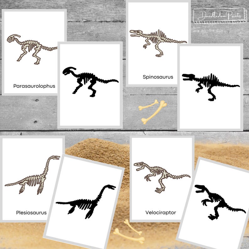 Dinosaur Fossils Shadow Matching Activity Printable Montessori Material ...