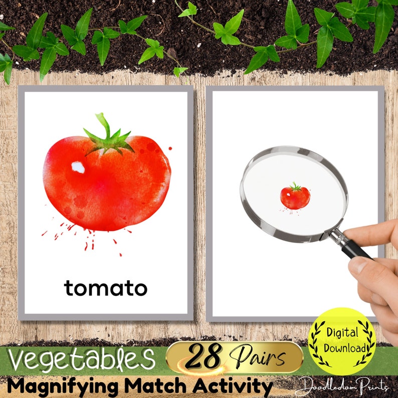 Vegetables Printable Activity for Kids, Vegetable Theme Montessori ...