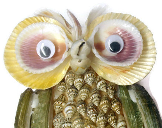 Seashell Art. Beautiful Sea Shell Owl . Handmade 100% - Etsy Italia