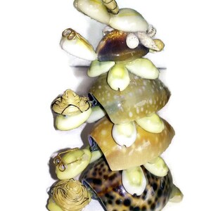 New New Five Beautiful Pyramid Turtles . Handmade 100% | Etsy