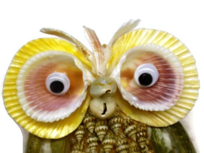 Seashell Art. Beautiful Sea Shell Owl . Handmade 100% | Etsy