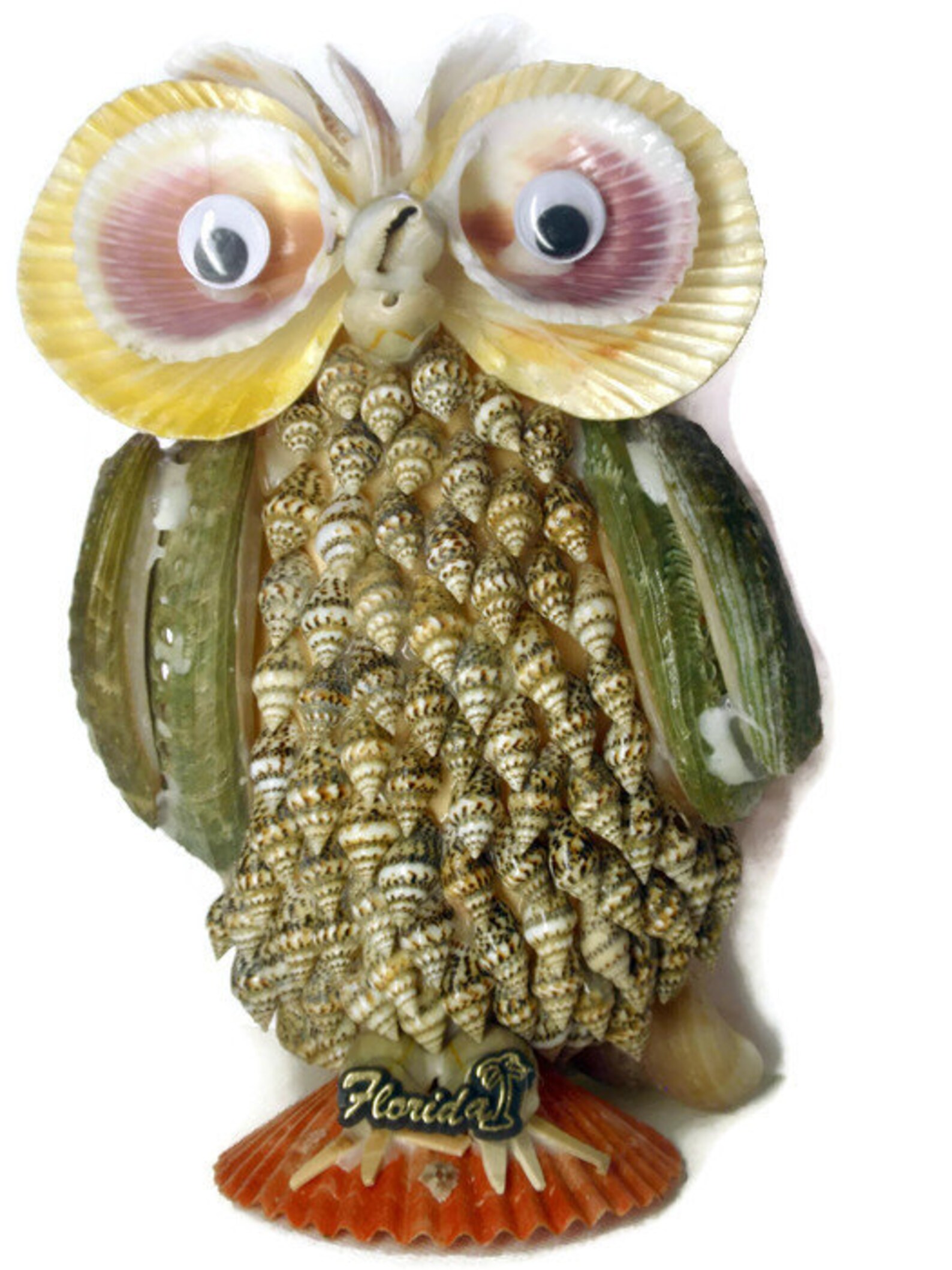 Seashell Art. Beautiful Sea Shell Owl . Handmade 100% | Etsy